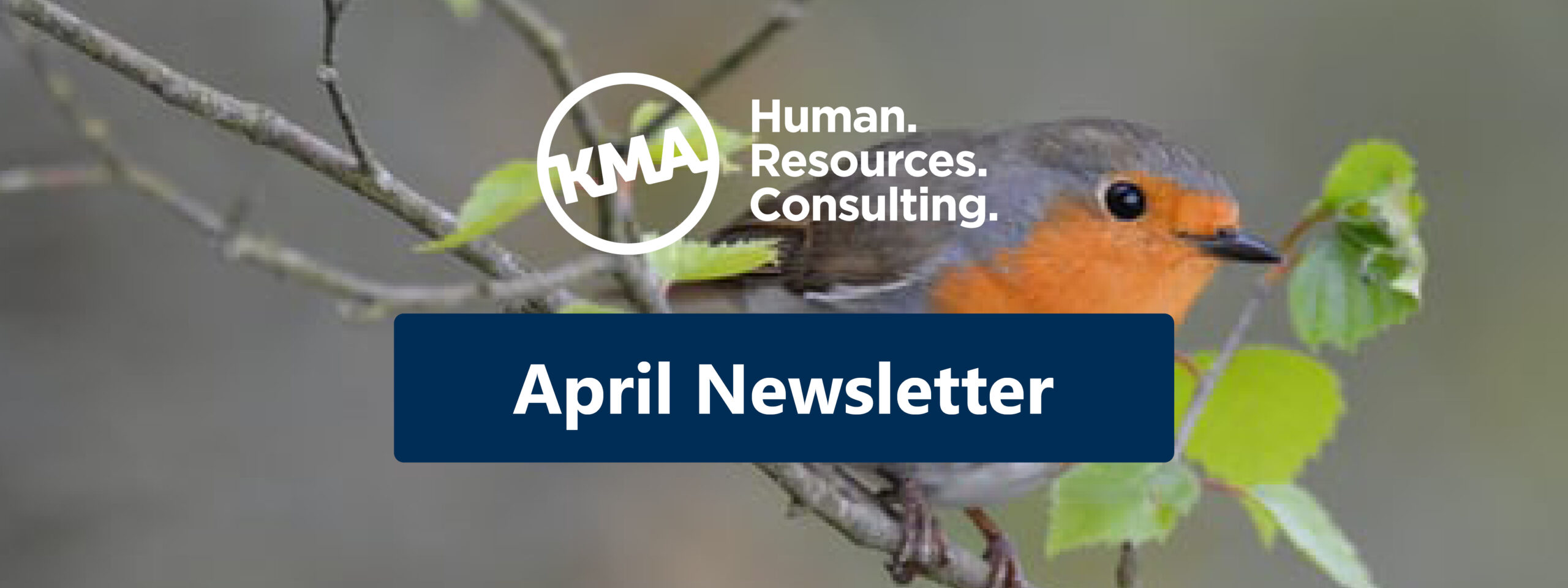 April 2023 Newsletter: Springing into Q2 - KMA HR
